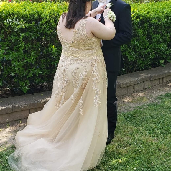 Promlily | Dresses | Promlily Champagne Colored Gown With Lace And Tull ...